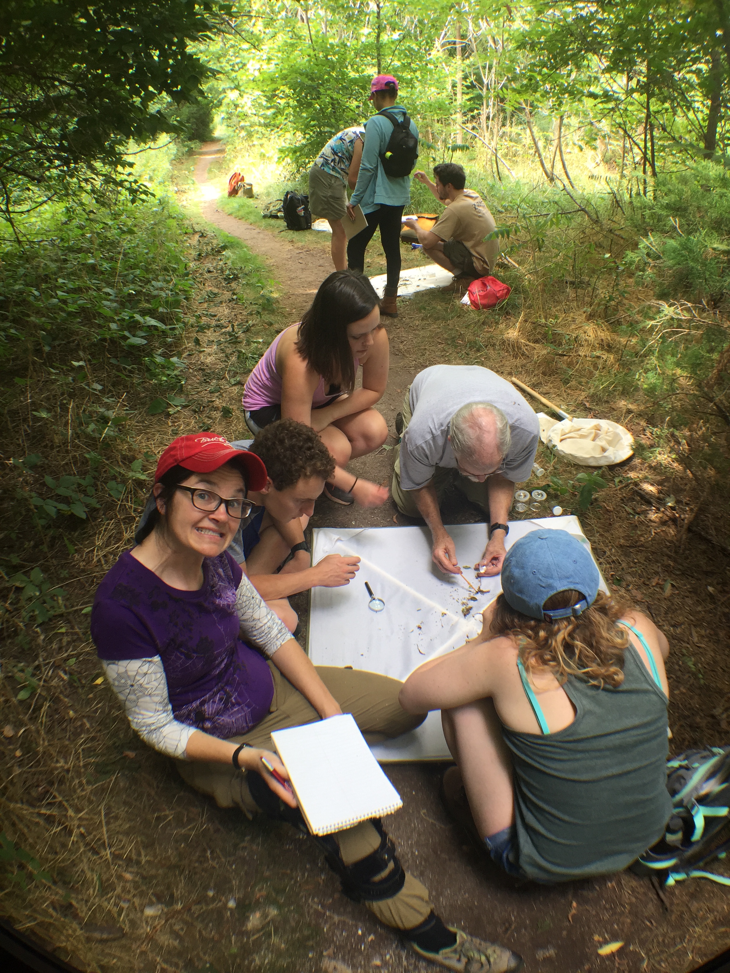 “Spider Camp” – SpiderMentor