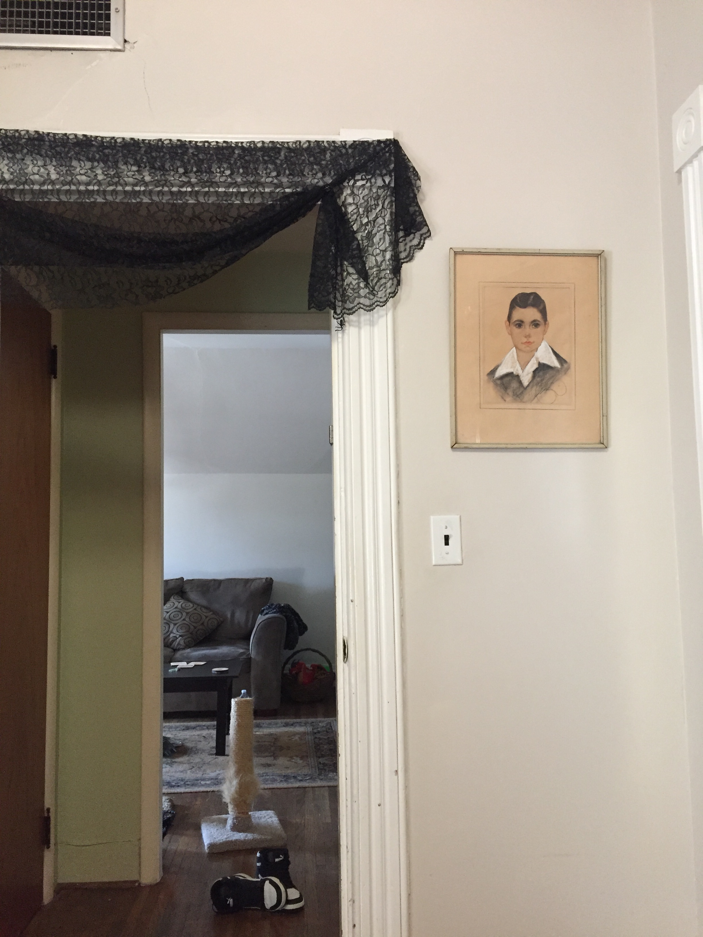 Murder Mystery in the Spider House – SpiderMentor