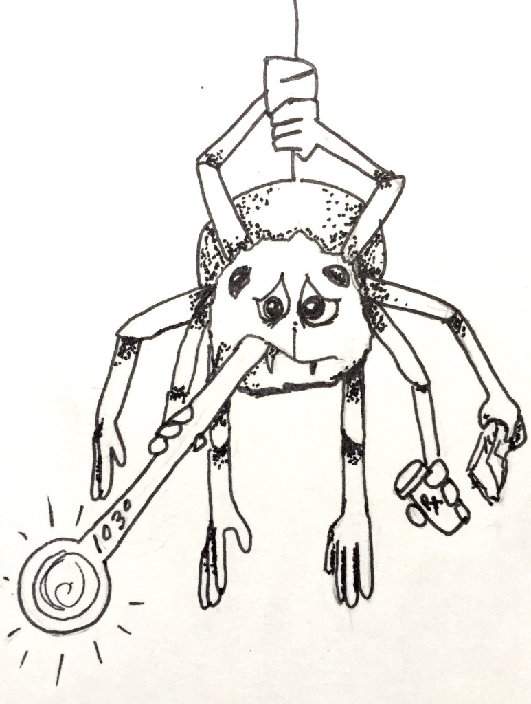 Do spiders get sick? – SpiderMentor